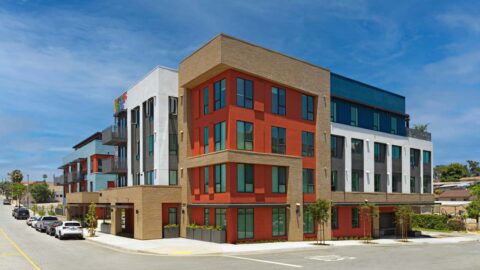 Las Dahlias | National CORE®